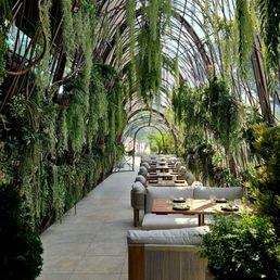 TOCA MADERA HOUSTON - Updated December 2025 - 1227 Photos & 448 Reviews ...