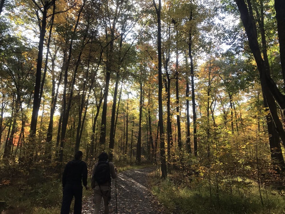MUSSER GAP TRAIL - ROTHROCK STATE FOREST - Updated March 2024 - State ...