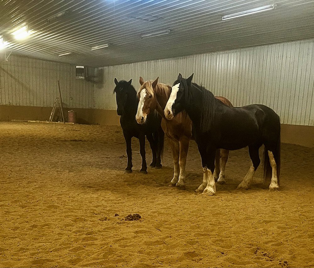 WELCOME HOME RANCH - Updated September 2025 - 6411 80th St SW ...