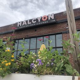 HALCYON - Updated October 2025 - 737 Photos & 499 Reviews - 2900 ...