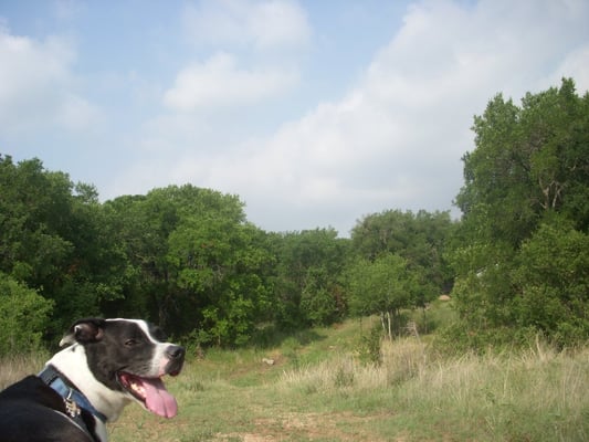 WHIRLPOOL CAVE PRESERVE - Updated September 2024 - 15 Photos - Brush ...