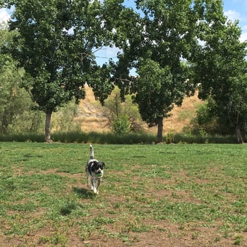 MARCO DOG PARK - Updated December 2025 - 44 Photos & 40 Reviews - 1800 ...