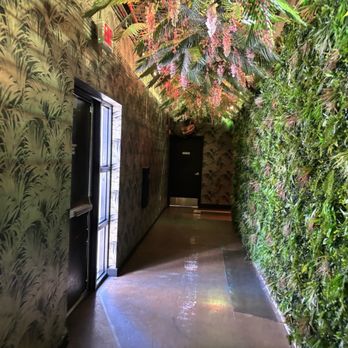 PALMA - Updated June 2025 - 1234 Photos & 598 Reviews - 903 N 2nd St ...