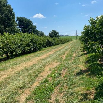 CHERRY HILL ORCHARDS OUTLET - Updated January 2026 - 61 Photos & 37 ...