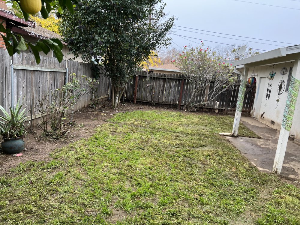 JM LANDSCAPING - Updated July 2025 - Request a Quote - 35 Photos ...