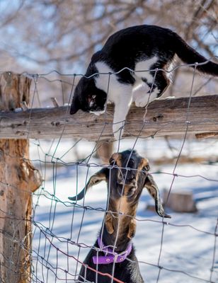 SAGE VIEW RANCH - Updated December 2025 - 15 Photos - 40881 Hwy 133 ...