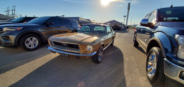 AUTONATION FORD BURLESON - Updated January 2026 - 27 Photos & 191 ...