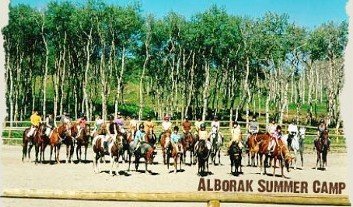ALBORAK STABLE - Updated January 2026 - 62134 Township Road 252 ...