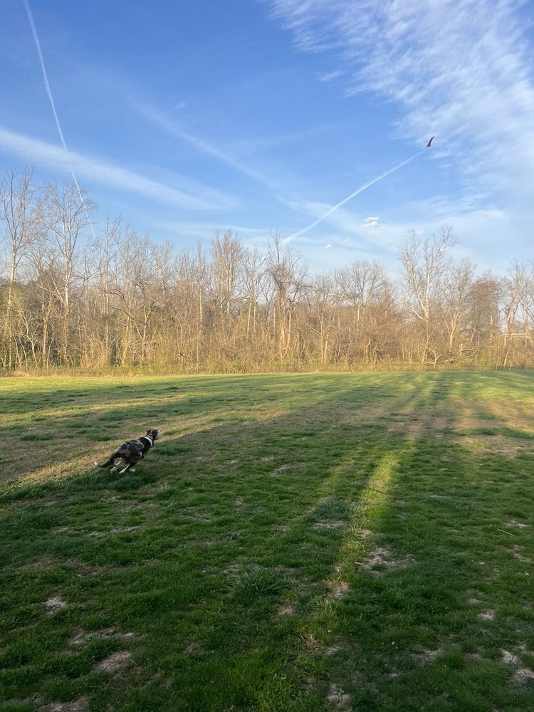 DUFF MCDUFF GREEN MEMORIAL PARK - Updated December 2025 - 15 Photos ...