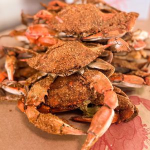 CHESAPEAKE CRAB CONNECTION - Updated October 2025 - 2834 Columbia Ave, Lancaster, Pennsylvania ...