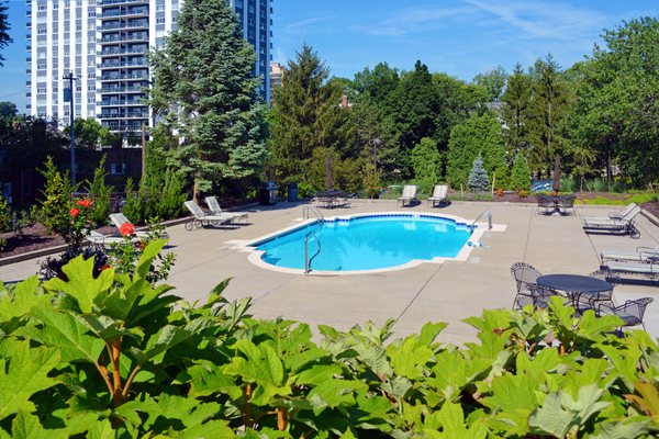 EDGECLIFF POINT CONDOMINIUMS - 10 Photos - 1201 Edgecliff Pl ...