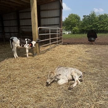 ABMA’S FARM - Updated October 2025 - 22 Photos - 282 Amwell Rd ...