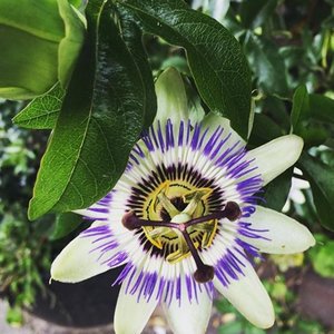 ORIGINAL DAMPKRING - 123 Photos & 92 Reviews - Coffeeshops ...