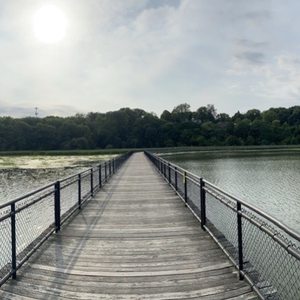 TURNING POINT PARK - 130 Photos & 31 Reviews - 260 Boxart St, Rochester ...