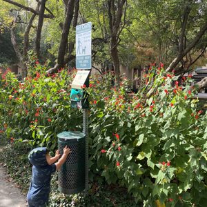 ARCHGATE PARK - 16 Photos - Parks - 6700 Archgate Dr, Plano, TX - Yelp