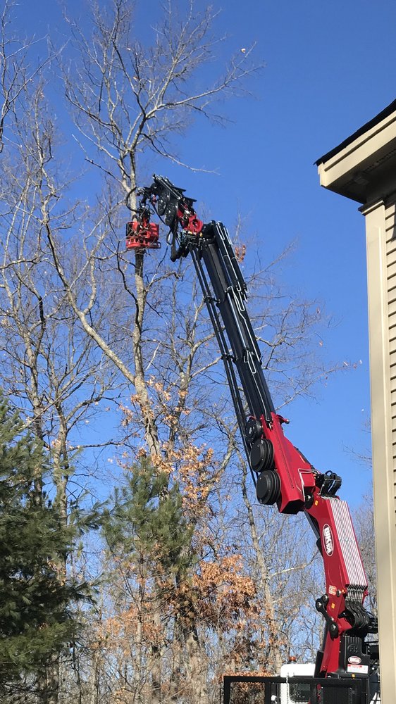 ALL-PRO TREE SERVICE - Updated January 2025 - 16 Photos & 11 Reviews ...
