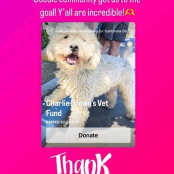 CALIFORNIA DOODLE RESCUE - Updated December 2024 - 35 Photos & 20 ...