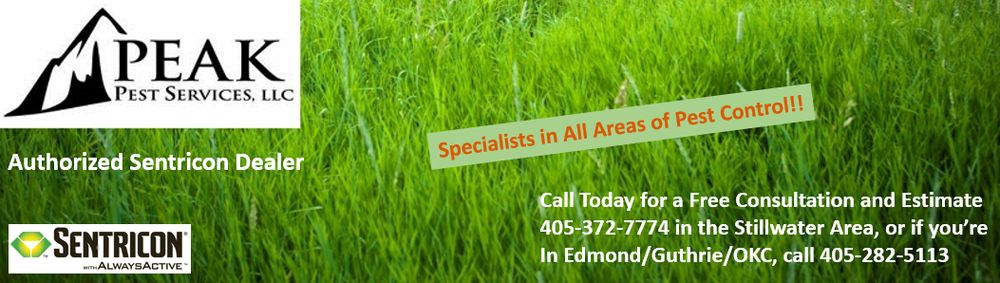 PEAK PEST SERVICES - Updated January 2026 - 712 E 6th Ave, Stillwater ...