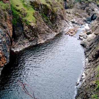 SPENCEVILLE WILDLIFE AREA - Updated December 2025 - 70 Photos & 21 ...