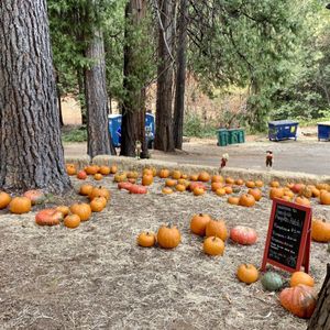 SKATETOWN ICE ARENA - Updated April 2025 - 98 Photos & 176 Reviews ...