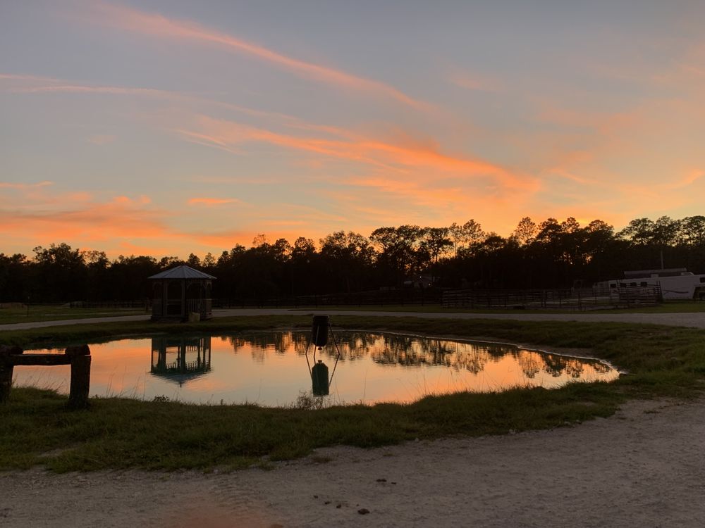 KICKIN’ DUST PERFORMANCE HORSES - Updated April 2025 - 29 Photos ...