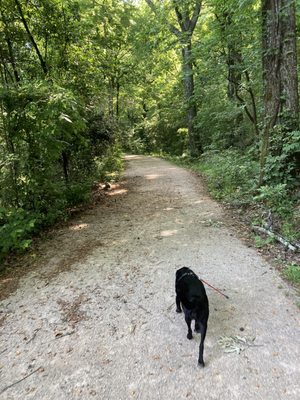 VULCAN TRAIL - Updated May 2025 - 72 Photos & 16 Reviews - Richard ...