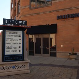 BLUFISH SUSHI BISTRO - Updated December 2025 - 826 Photos & 576 Reviews ...