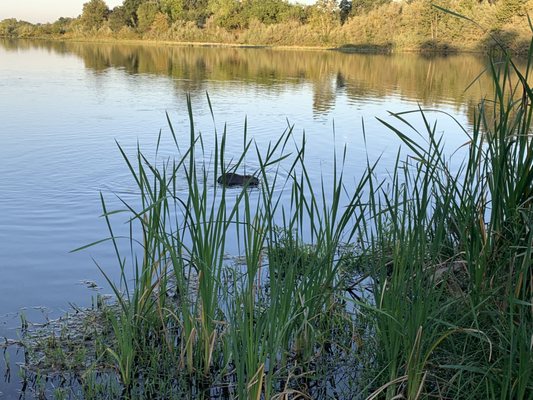 RIVER REFLECTIONS RV PARK & CAMPGROUND - 67 Photos & 40 Reviews - 4360 ...