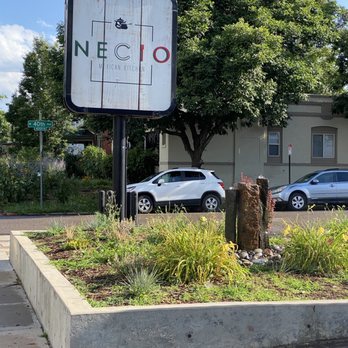 NECIO MEXICAN KITCHEN - Updated May 2024 - 251 Photos & 231 Reviews ...