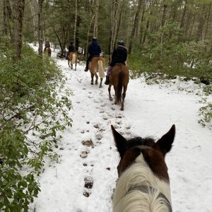 CORNERSTONE RANCH - 47 Photos & 118 Reviews - Horseback Riding - 29 ...