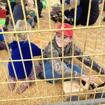 LAYMAN FAMILY FARMS - Updated October 2025 - 56 Photos & 11 Reviews ...