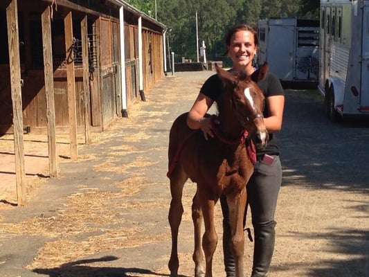 SOUTHERN OAK EQUESTRIAN CENTER - Updated December 2025 - 15 Photos ...