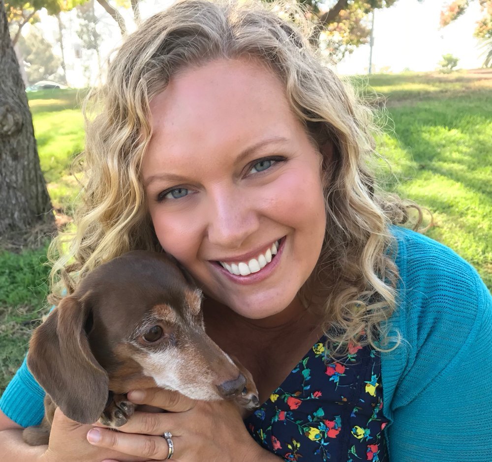 HAVE A BALL PET SITTING & DOG WALKING - Updated June 2026 - 18 Photos ...