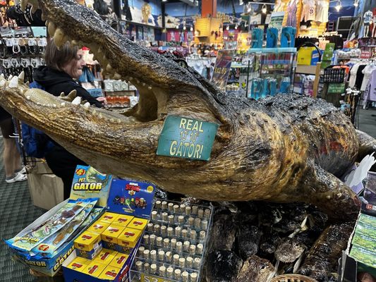 BARGAIN WORLD LAKE BUENA VISTA - Updated November 2025 - 26 Photos - 25 ...