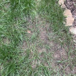 Super-Sod Reviews | Read Customer Service Reviews of supersod.com