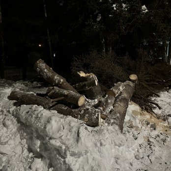 KINGSMAN TREE SERVICE - Updated January 2026 - Request a Quote - 14 Photos - Anchorage, Alaska ...