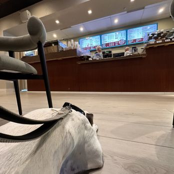 JAVA BOYS - Updated December 2025 - 133 Photos & 153 Reviews - 2230 ...