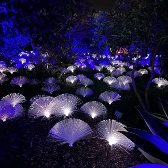 LIGHTSCAPE SAN DIEGO - Updated November 2024 - 189 Photos & 38 Reviews ...