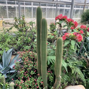 ROGER WILLIAMS PARK BOTANICAL CENTER - Updated June 2025 - 238 Photos ...