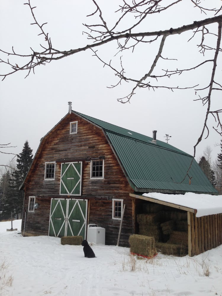 EQUINE CARE AND KEEP - CLOSED - Updated January 2025 - Jack Eby Trail ...