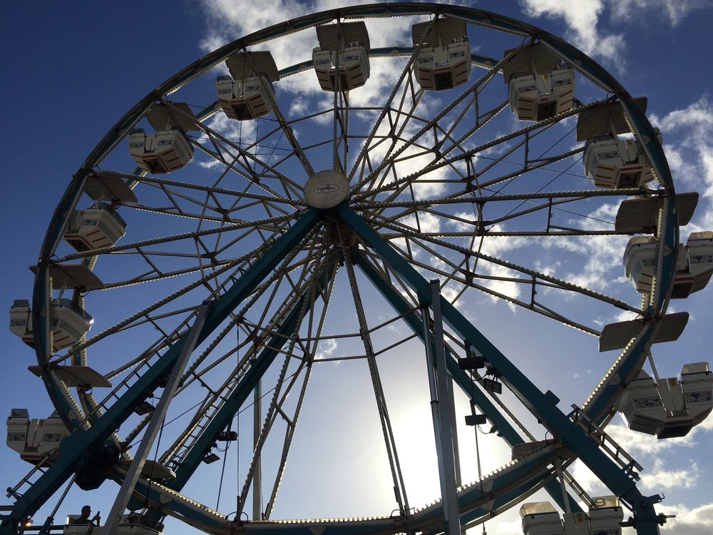 50TH STATE FAIR - 331 Photos & 115 Reviews - Festivals - 99-500 Salt ...