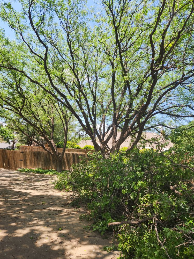 C&T TREE AND LANDSCAPE - Updated August 2025 - 16 Photos - Amarillo ...