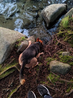 MAIDSTONE STATE PARK - Updated December 2025 - 14 Photos - 4858 ...