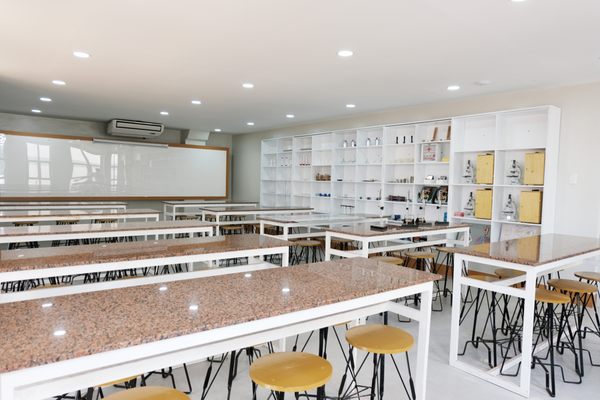 WESTFIELD SCIENCE ORIENTED SCHOOL AND COLLEGES - Updated August 2025 ...