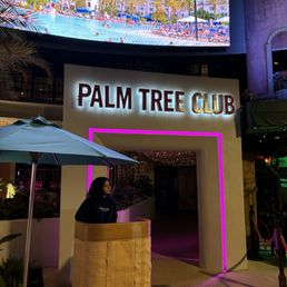 PALM TREE CLUB - Updated July 2025 - 182 Photos & 43 Reviews - 9101 ...