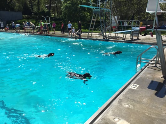 PAPIO BAY - Updated December 2025 - 11 Reviews - 815 E Halleck St ...