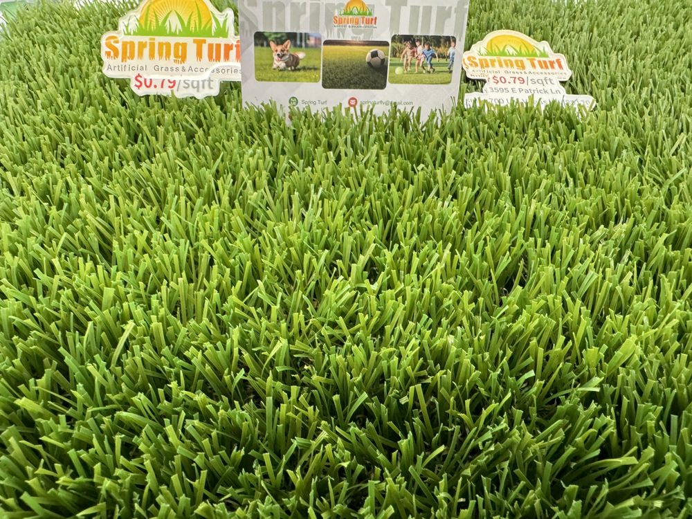 SPRING TURF - Updated December 2025 - 12 Photos - 3595 E Patrick Ln ...