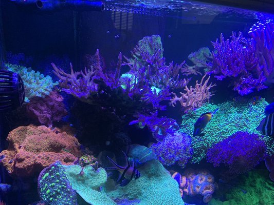SUPERIOR REEF - Updated April 2026 - 26 Photos - Virginia Beach ...