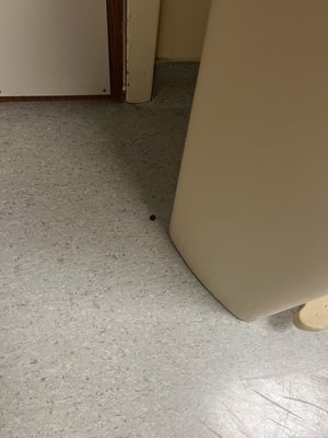 EDWARD HOSPITAL - MAIN CAMPUS - Updated July 2024 - 63 Photos & 253 ...