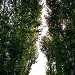 ENZIAN FALLS CHAMPIONSHIP PUTTING COURSE - 23 Photos - Golf - 315 ...